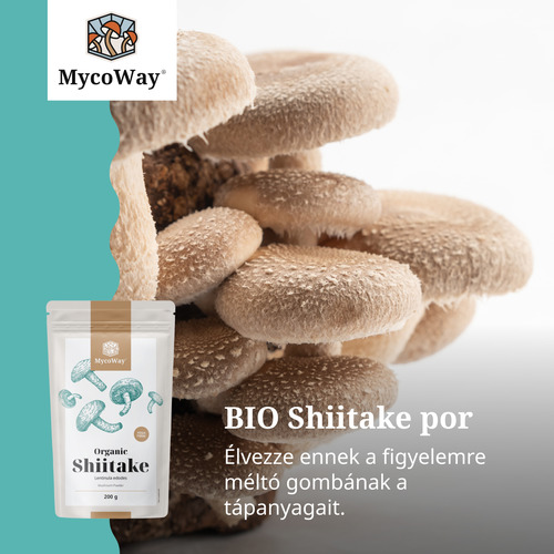 BIO Shiitake por, 200 g - FutuNatura.hu